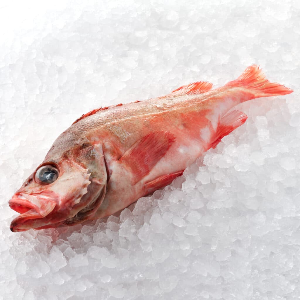 Uer-filé – Melanders